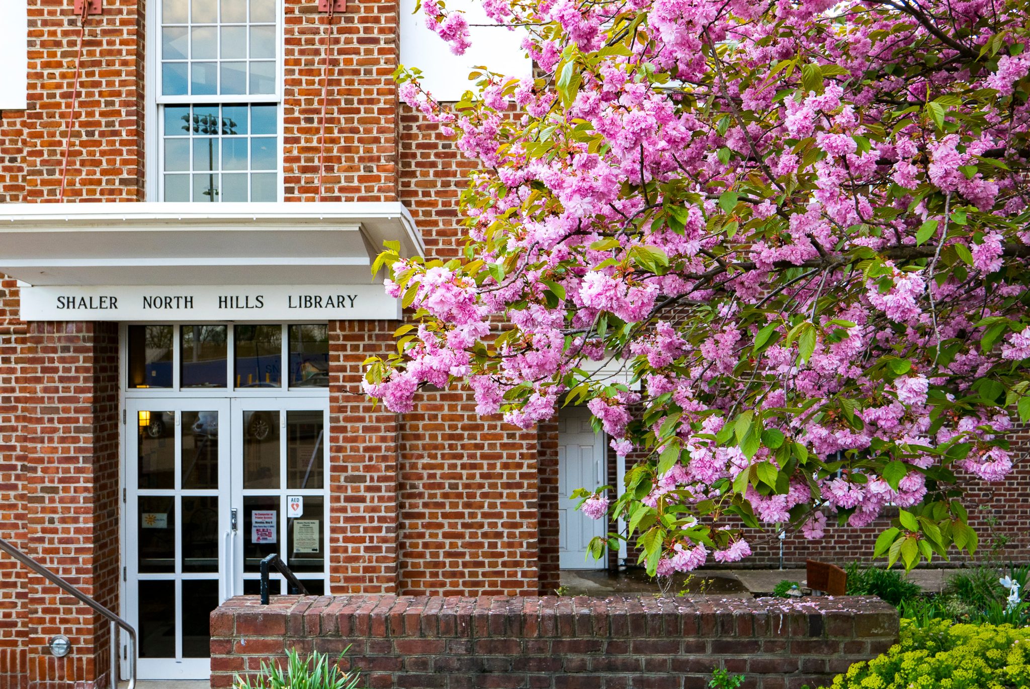 Shaler North Hills LIbrary
